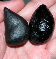 Bezoar Mustika Pearls: king cobra snakes naga mani bezoar stones ...